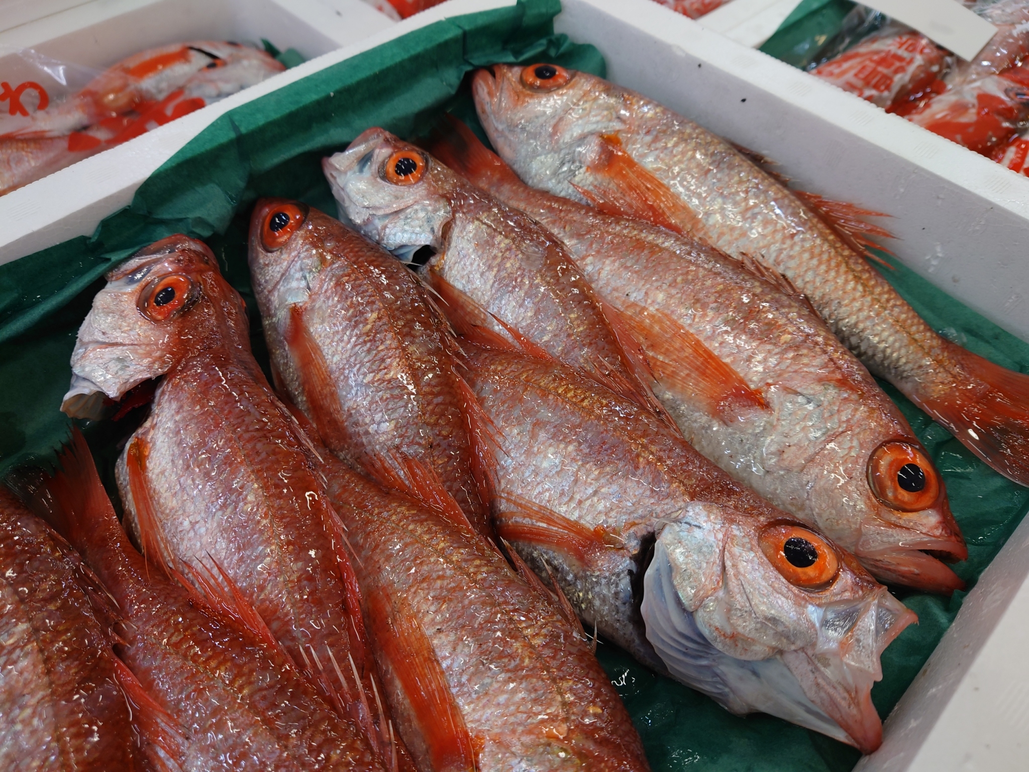 金沢丸中水産株式会社 | STANDAGE（スタンデージ）